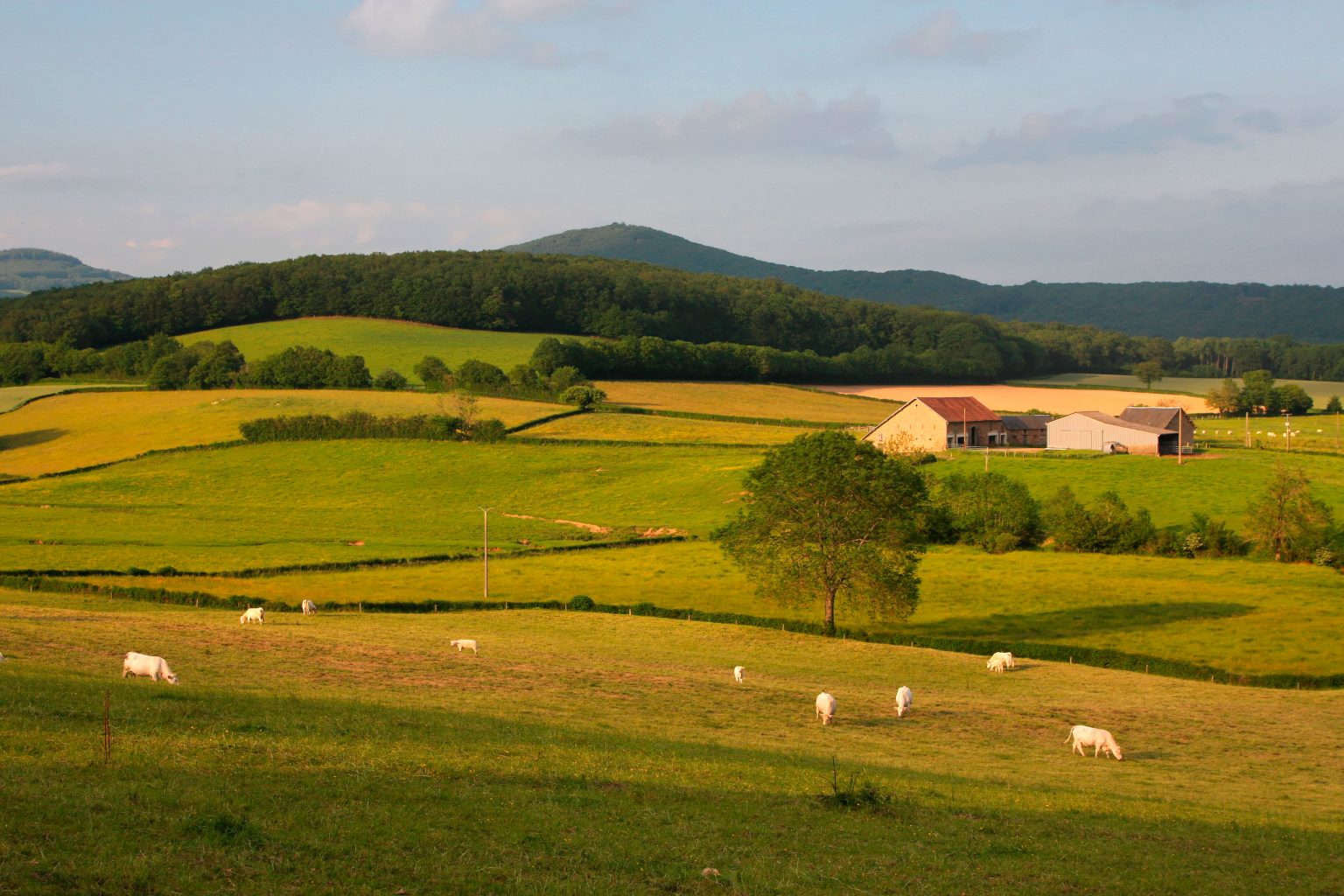Le Morvan - Ici en région